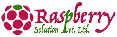 Raspberry Solution – Job Finder in Nepal, Nepali Job Finder Portal ...